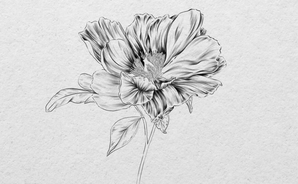 50+ Inspiring Sketch Quotes for Creativity & Art ⚡